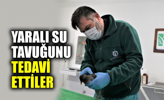 Yaralı su tavuğu Ormanya’da tedavi ediliyor - Kocaeli Öncü - ÖNCÜ HABER